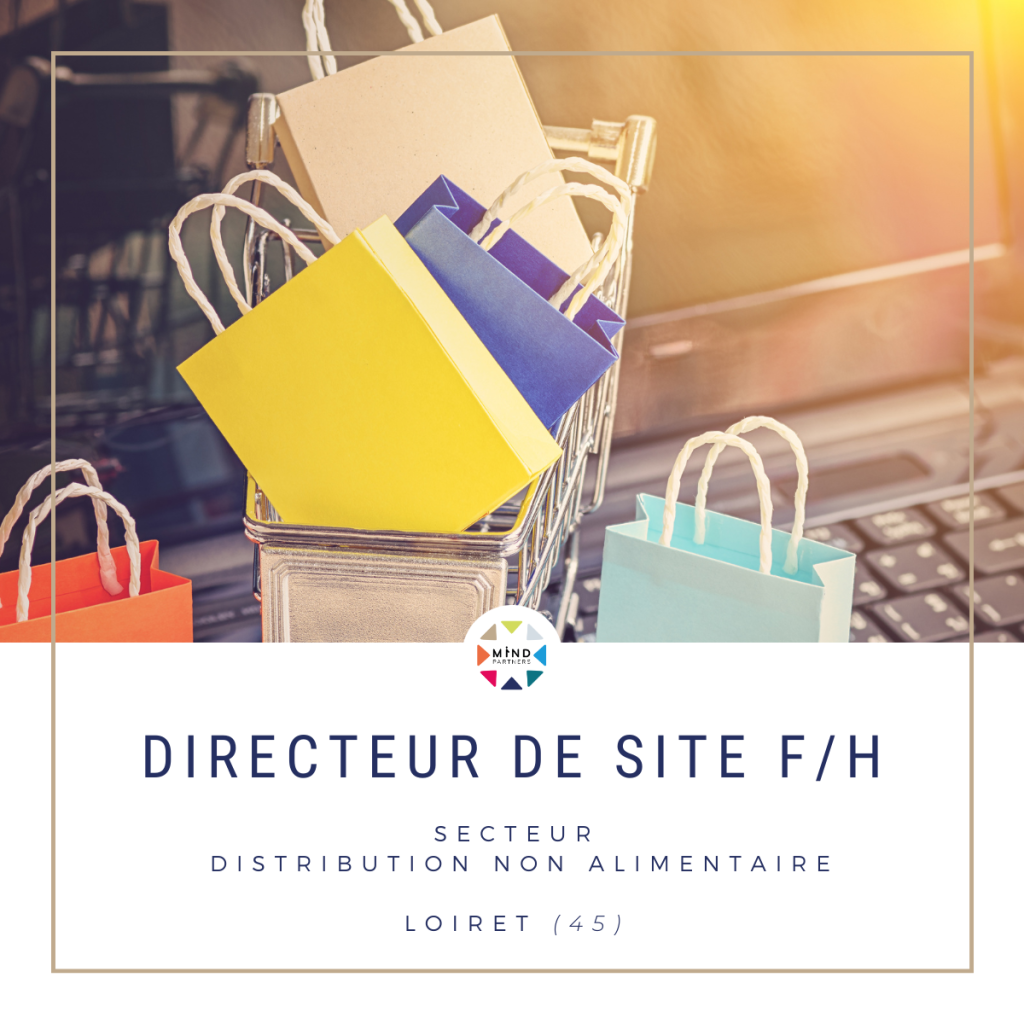 Offre d'emploi : Directeur de Site Logistique F/H dans la Distribution ...
