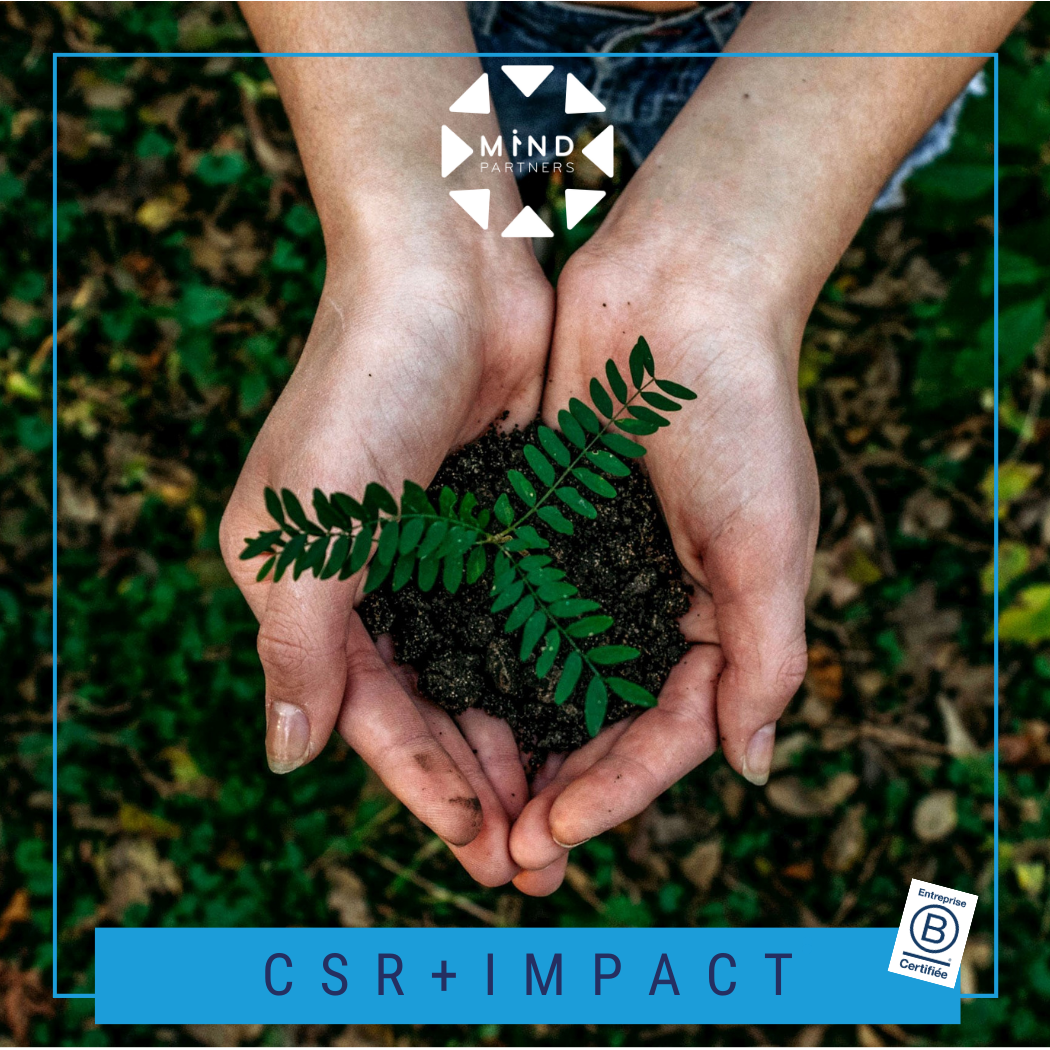 Recruitment and CSR/Impact: how do you look for rare profiles? - Mind ...