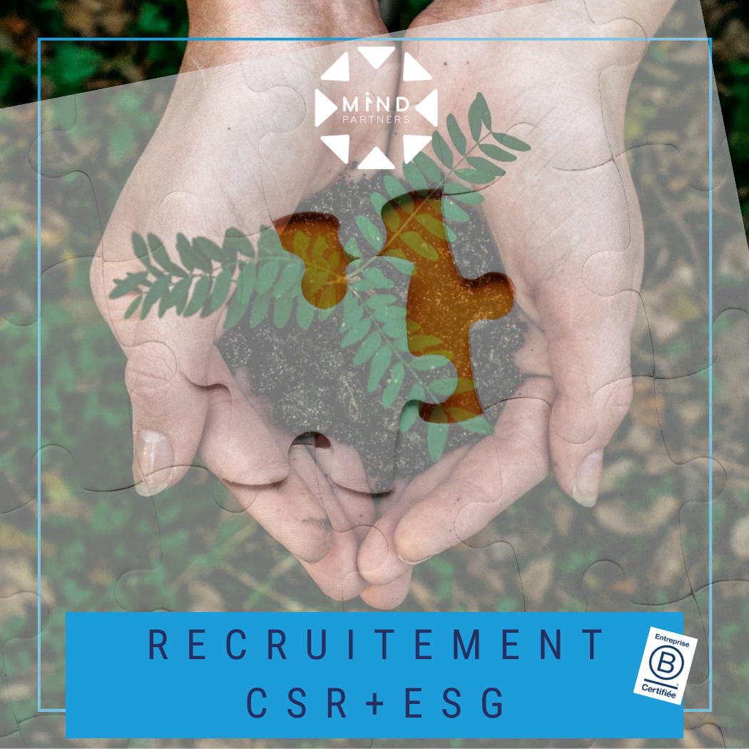 Recruitment and CSR: How to Find Rare Profiles ? - Mind Partners